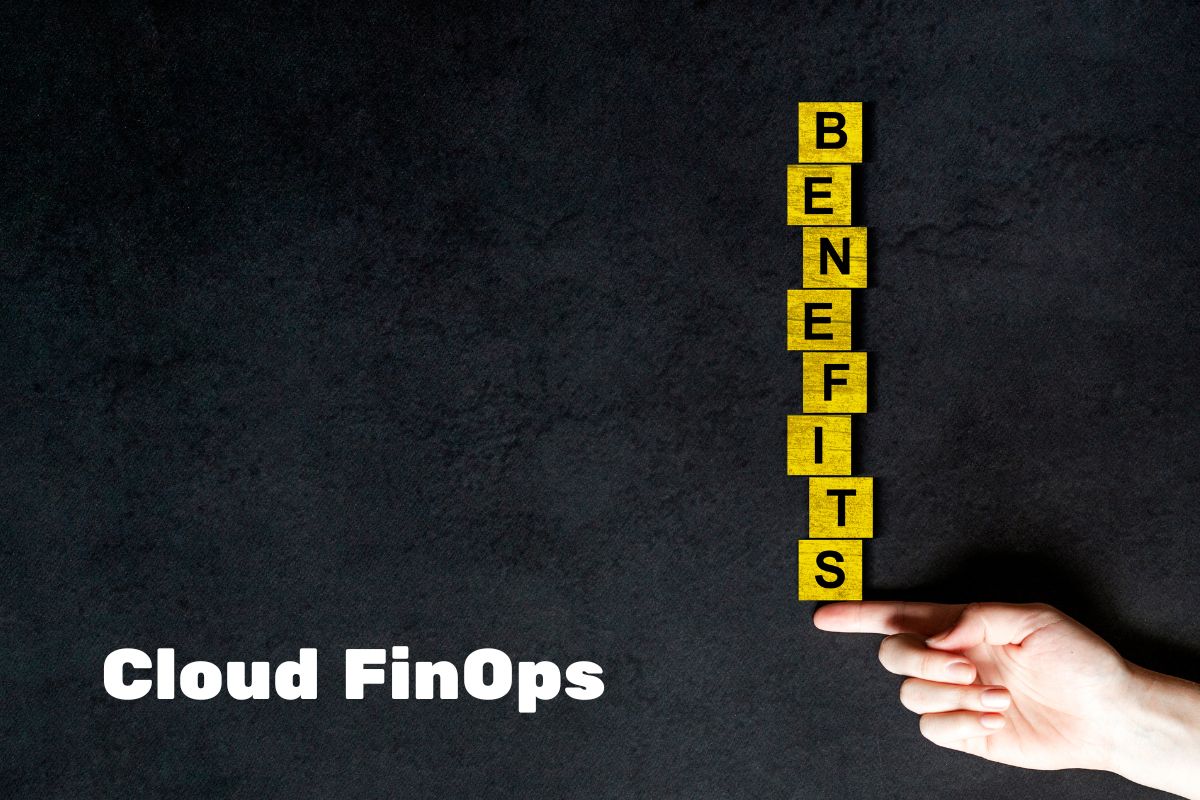 Ceeview | A Comprehensive Guide for High-performing Cloud FinOps